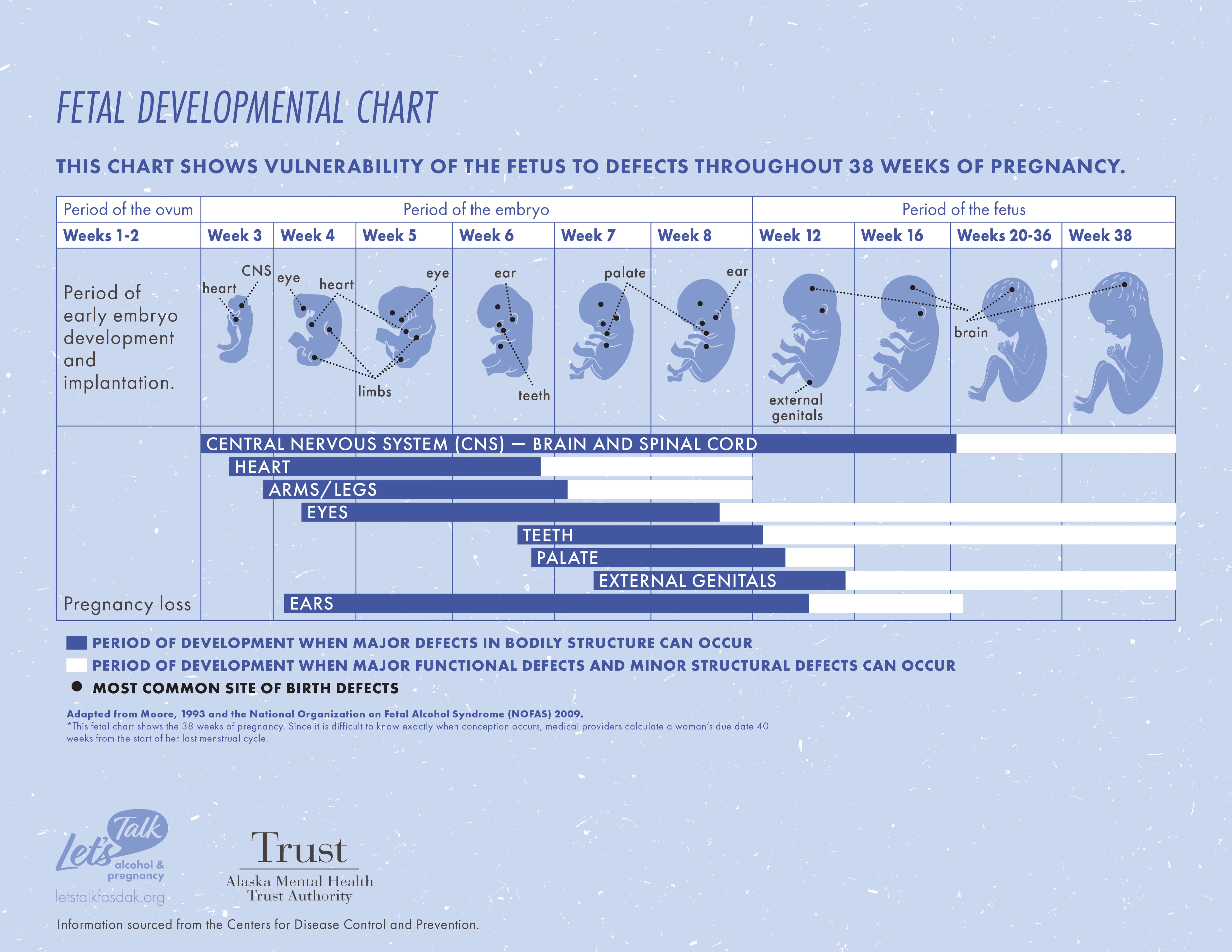 Let's Talk FASD Alaska – Choose not to drink while pregnant